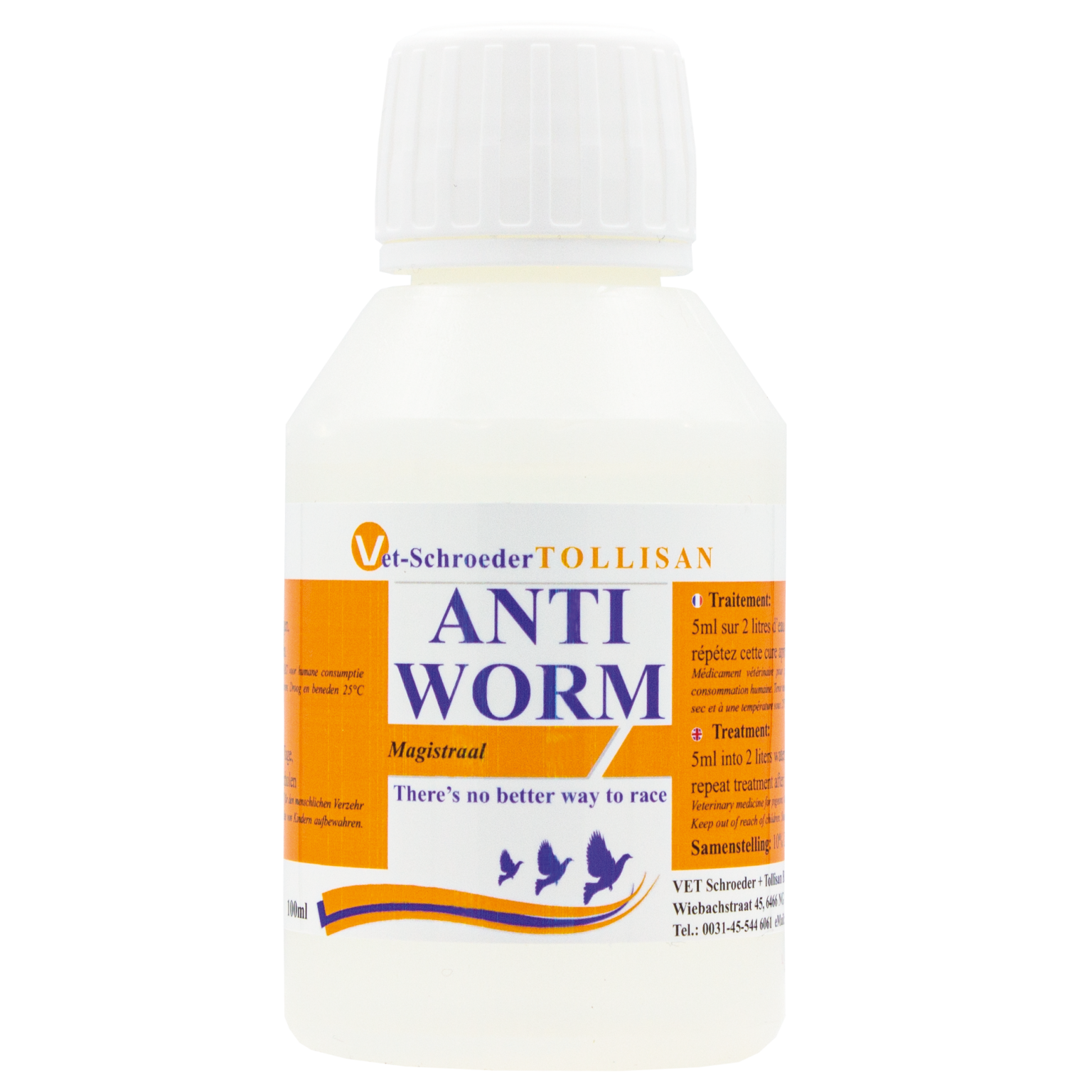 ANTI-WORM(CONSURAT) - Paradise Life