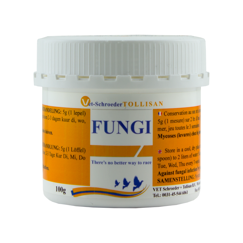 FUNGI POWDER - Paradise Life